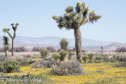 Educational Resources - Edwards AFB - iSportsman