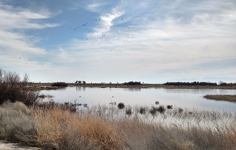 Maps - Edwards AFB - iSportsman